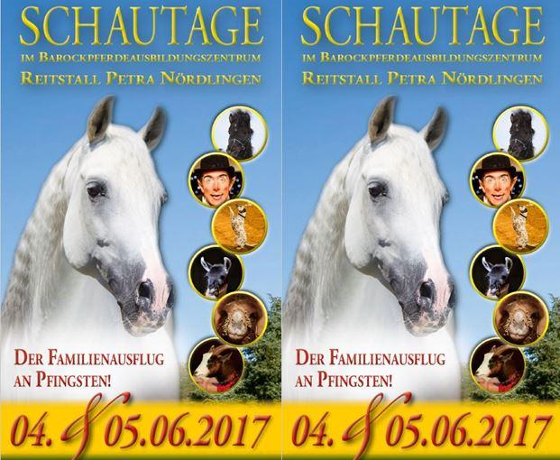 Schautage im Barockpferdeausbildungszentrum Reitstall Petra|Nördlingen ...