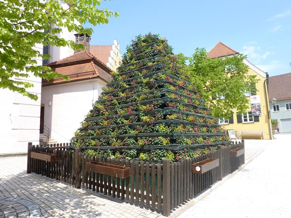 Deutschlands einzige Fuchsienpyramide|Wemding|Donau-Ries-Aktuell