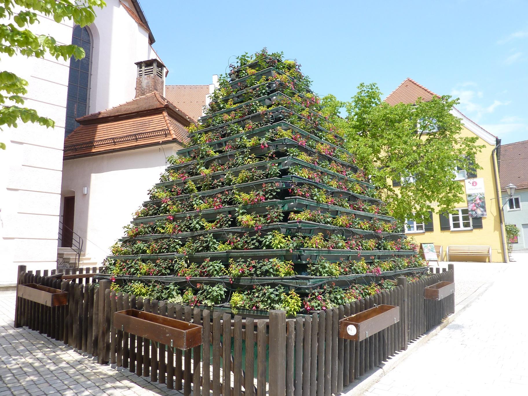 Deutschlands einzige Fuchsienpyramide|Wemding|Donau-Ries-Aktuell