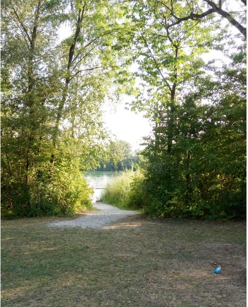 Blaualgen im Riedlinger Baggersee|Donauwörth|Donau-Ries-Aktuell