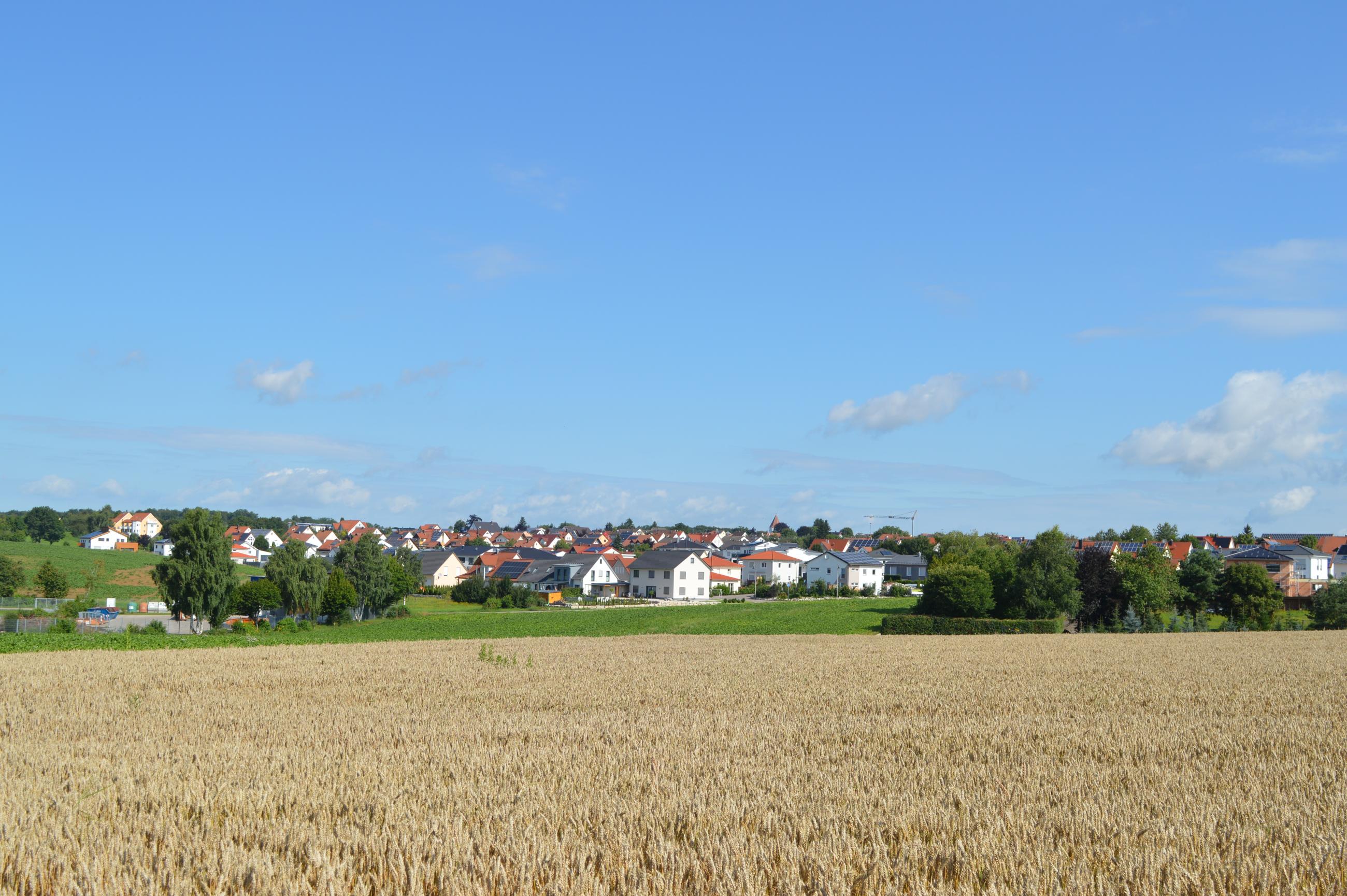 Kleine Gemeinde mit großem Wachstumspotential|Buchdorf|Donau-Ries-Aktuell