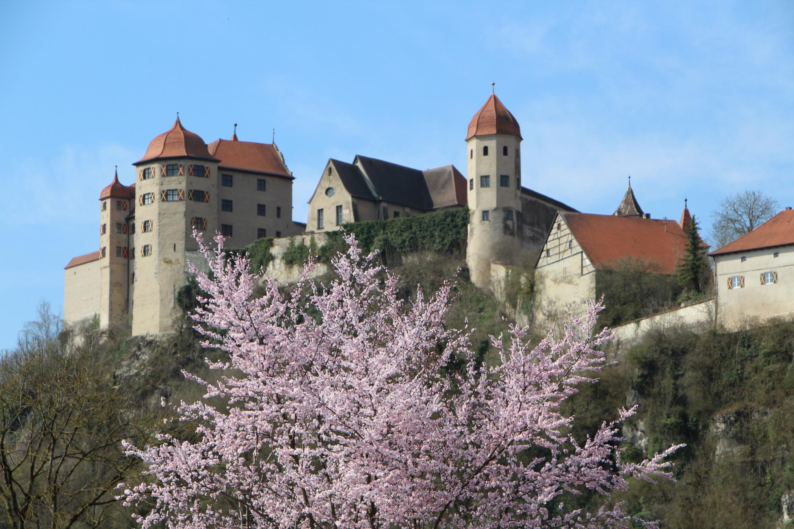 Schloss Harburg: ein lohnendes Ziel in den Osterferien|Harburg|Donau ...