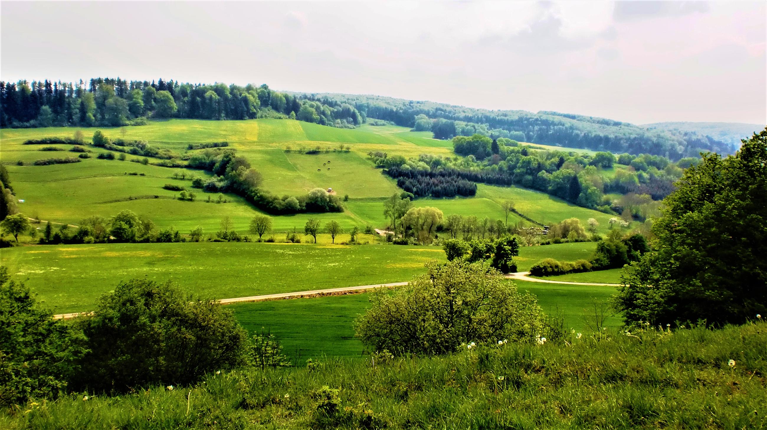Geschichte und Geschichten einer Landschaft|Oettingen|Donau-Ries-Aktuell