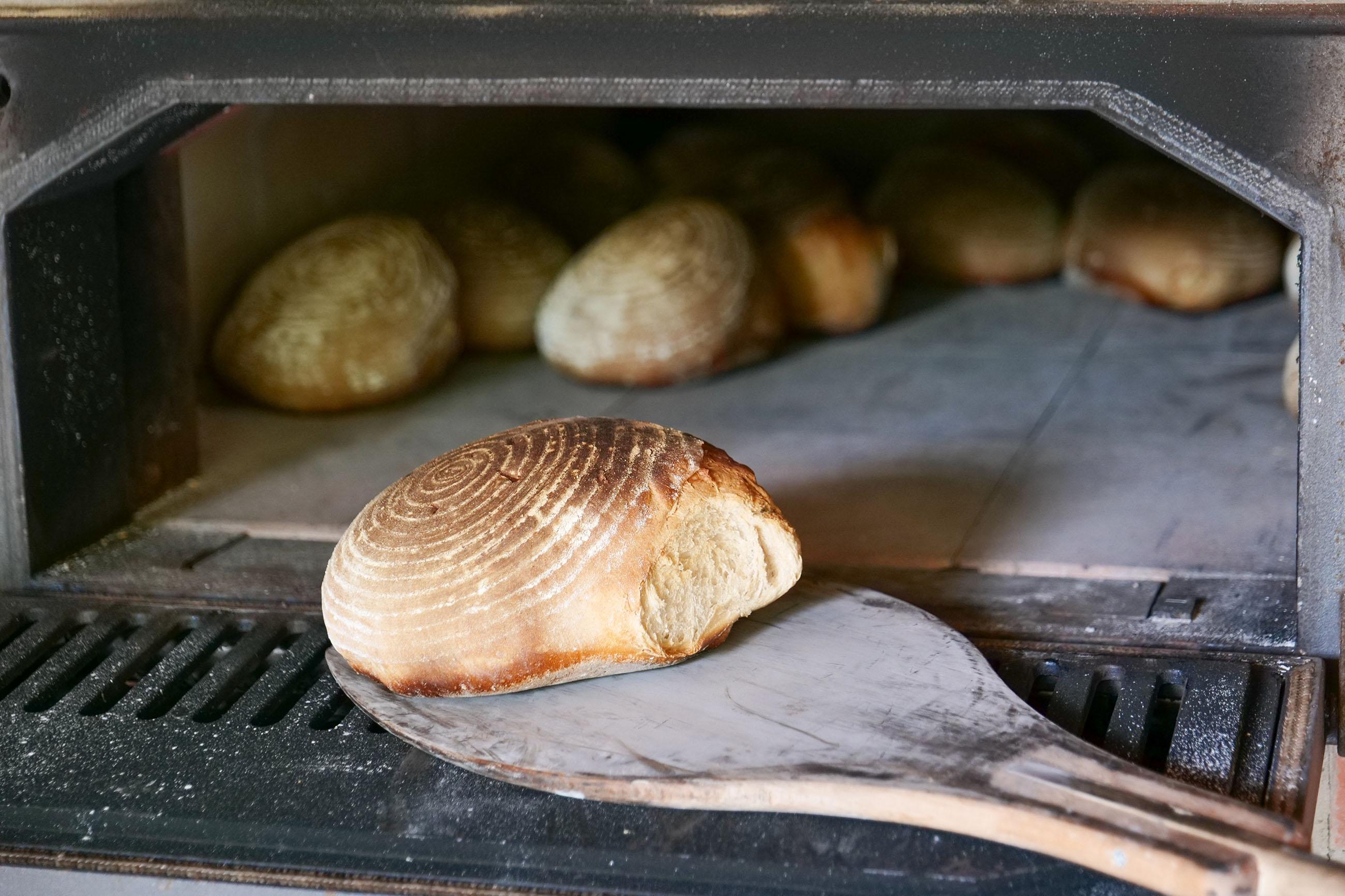 Sommer-Ferienprogramm am Museum KulturLand Ries|Maihingen|Donau-Ries ...