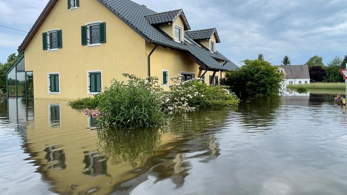 Solidarität nach der Flut: Forschungsprojekt sucht Betroffene für ...