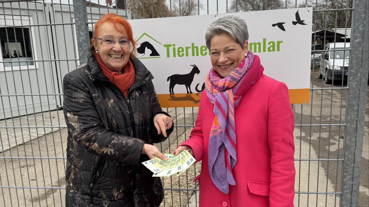 Rössle Gartenbau unterstützt Tierheim in Hamlar|Donauwörth|Donau-Ries ...