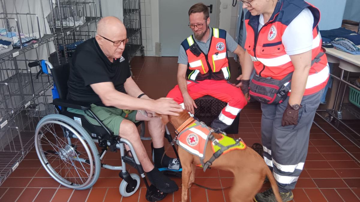 Übungseinsatz der Rettungshundestaffel im Pflegeheim|Donauwörth|Donau ...