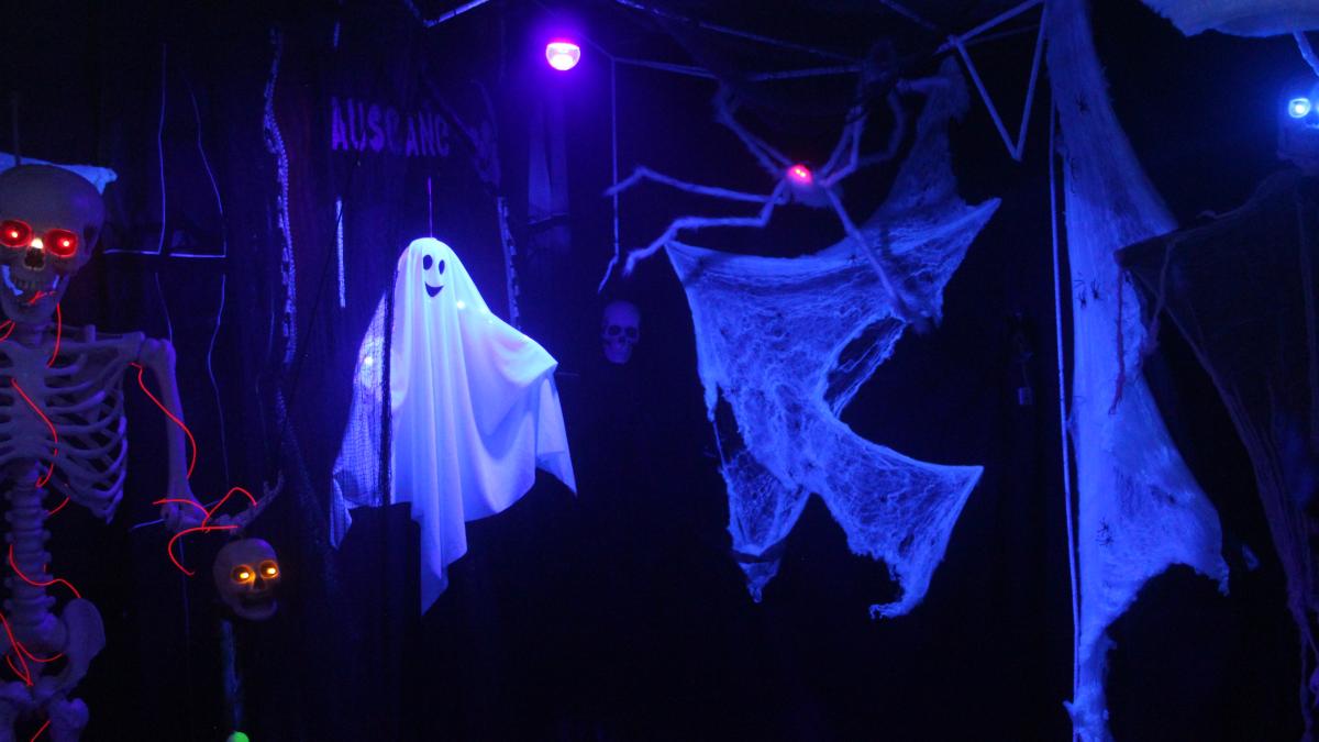Die eigene Geisterbahn zu Halloween|Amerdingen|Donau-Ries-Aktuell