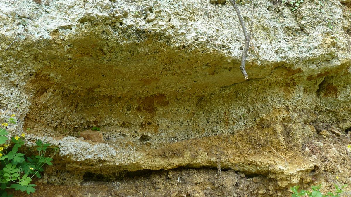 Geoparkführung: Geotope Kühstein||Donau-Ries-Aktuell